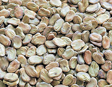 Fava - Giornale del cibo