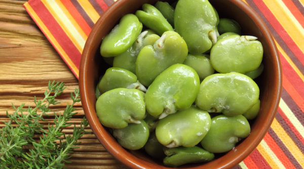 Fave: ricette e consigli per utilizzarle al meglio in cucina