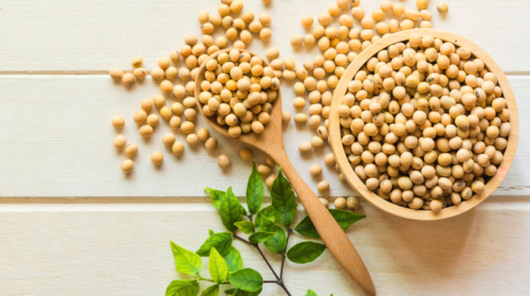 Soia fermentata: proprietà e benefici dei prodotti derivati