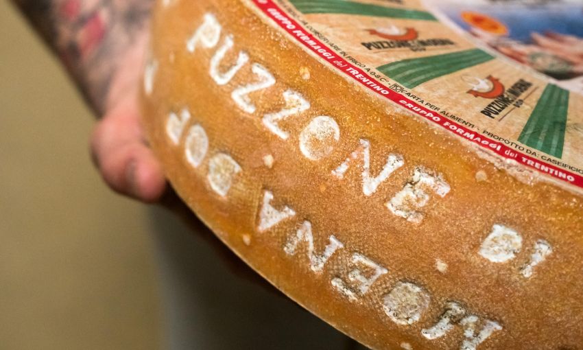 Puzzone di Moena DOP: caratteristiche, origine e abbinamenti