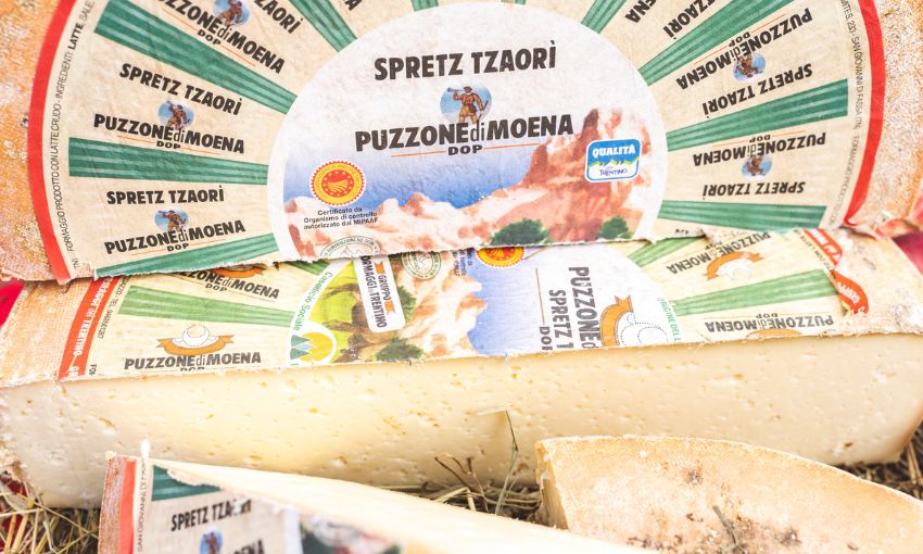 Puzzone di Moena DOP: caratteristiche, origine e abbinamenti